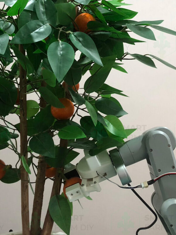 Mini Robot Fruit Picking Farm – SMARTFARMDIY
