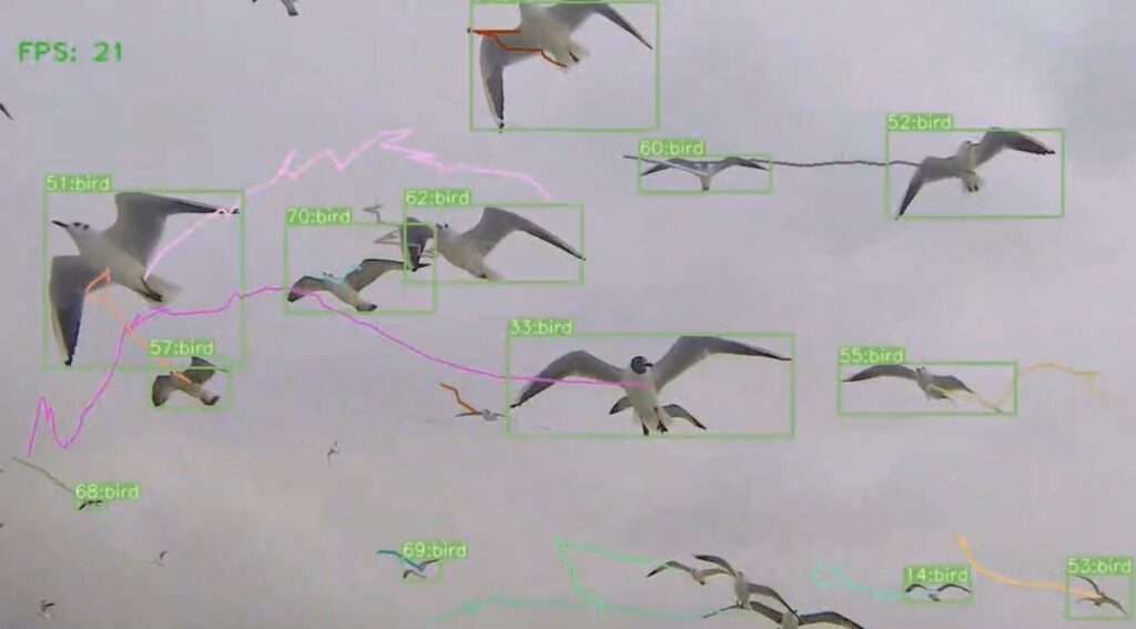 Birds fly Counting and tracking using any version of YOLO – SMARTFARMDIY