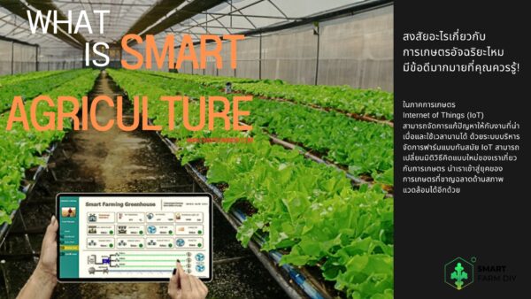 SMARTFARMDIY